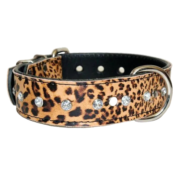 Cheetah Dog Collar - Animal Print Leather Dog Collar – Rad N Bad Collars